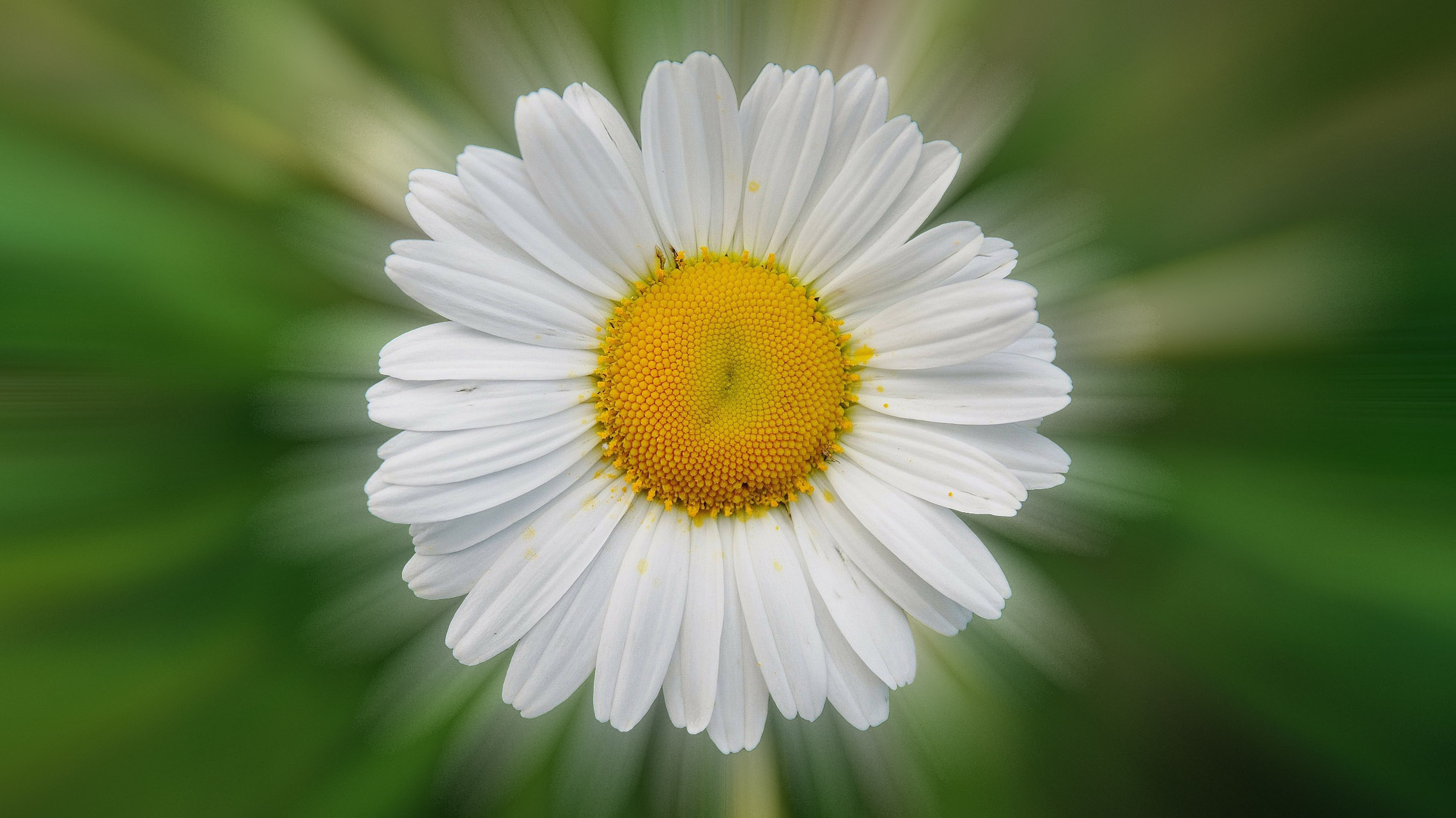 Achtergrond vervagen (radiaal vaag filter) | Adobe Photoshop