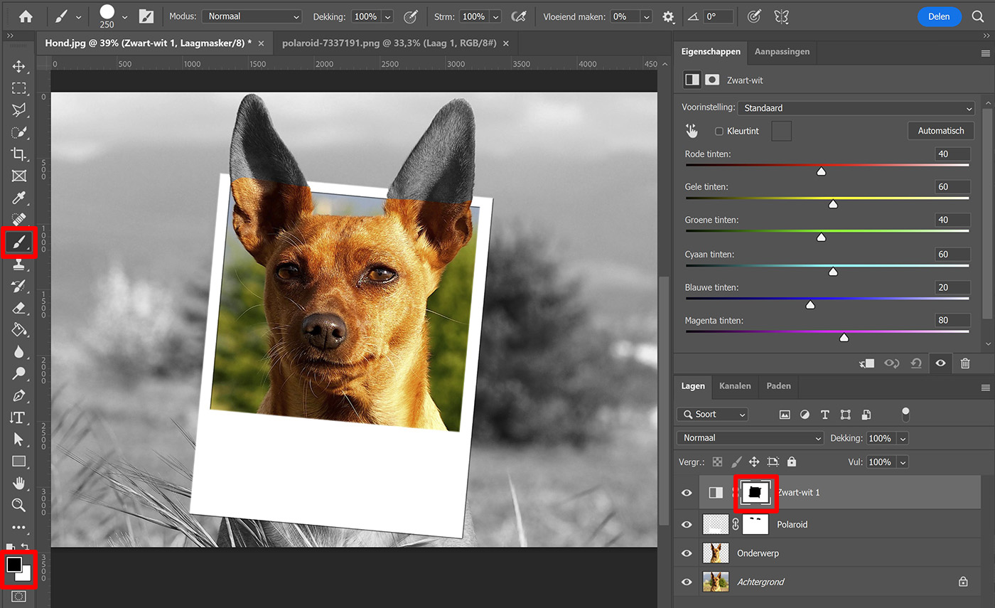 Creëer een polaroid effect in Photoshop - Edit with Kim