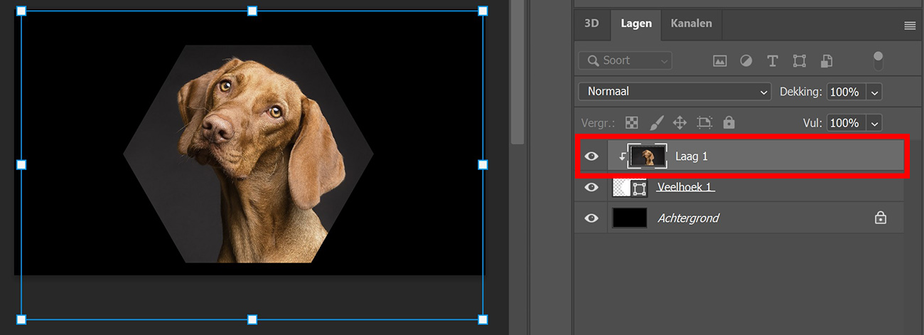 Foto in vorm plaatsen in Photoshop - Edit with Kim